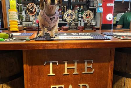 Bars & Clubs | Lancaster and Morecambe Bay